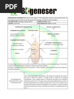 Ficha Tecnica Bingo SG | PDF | Insecticida | Agua