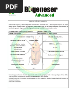 Ficha Tecnica Agrygent Plus 8 WP | PDF | Las bacterias | Biología