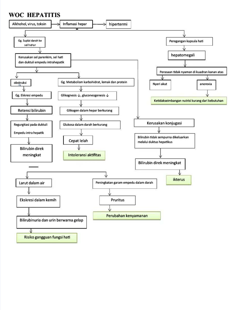 PDF KMB 2 Woc Hepatitis Sirosis Hepatis Compress 3 | PDF