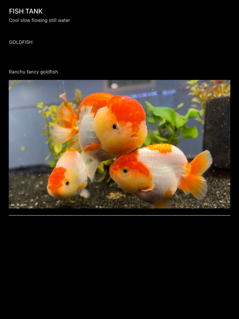 FISH TANK | PDF