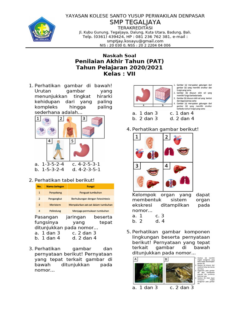 Naskah Soal PAT | PDF
