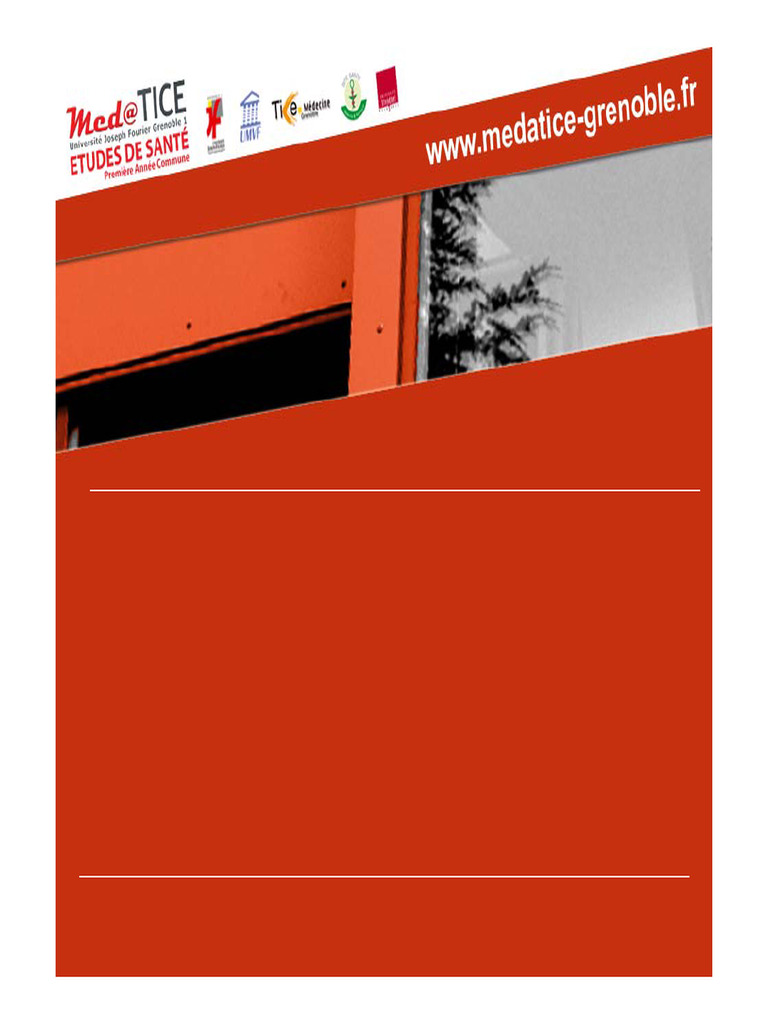 Palombi Olivier p19 | PDF