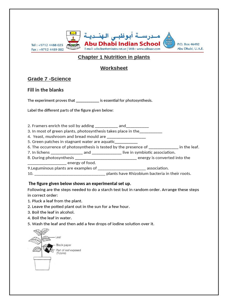 Nutrition in Plants - Worksheet | PDF