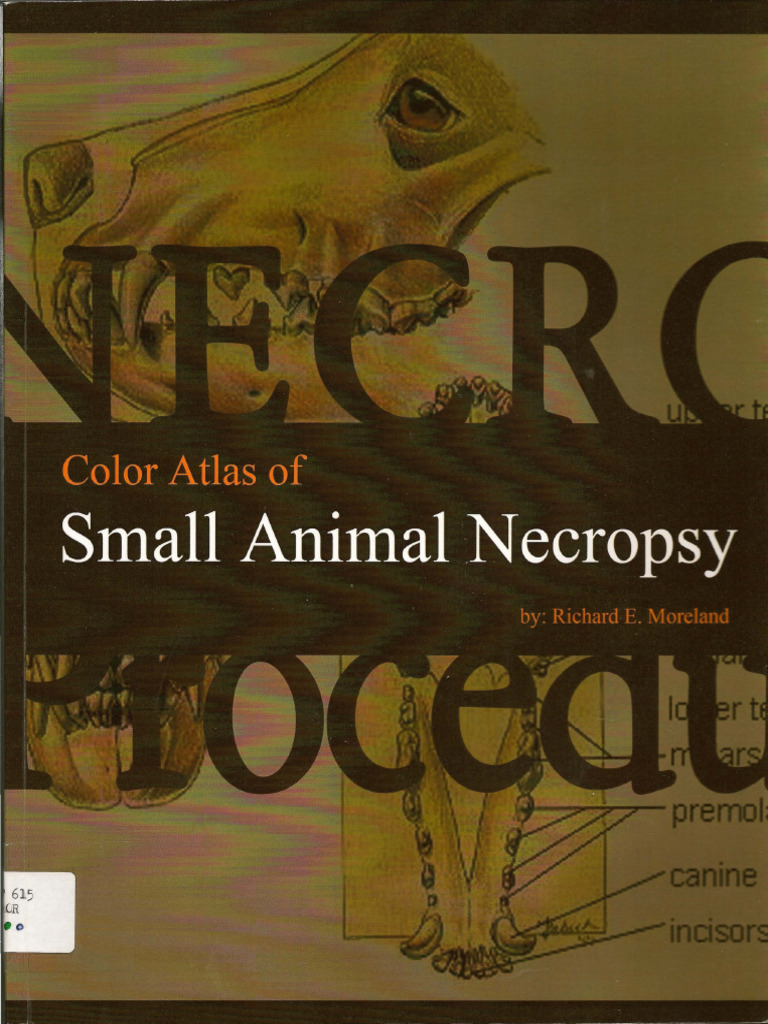Color Atlas of Small Animal Necropsy Richard Moreland First Edition | PDF