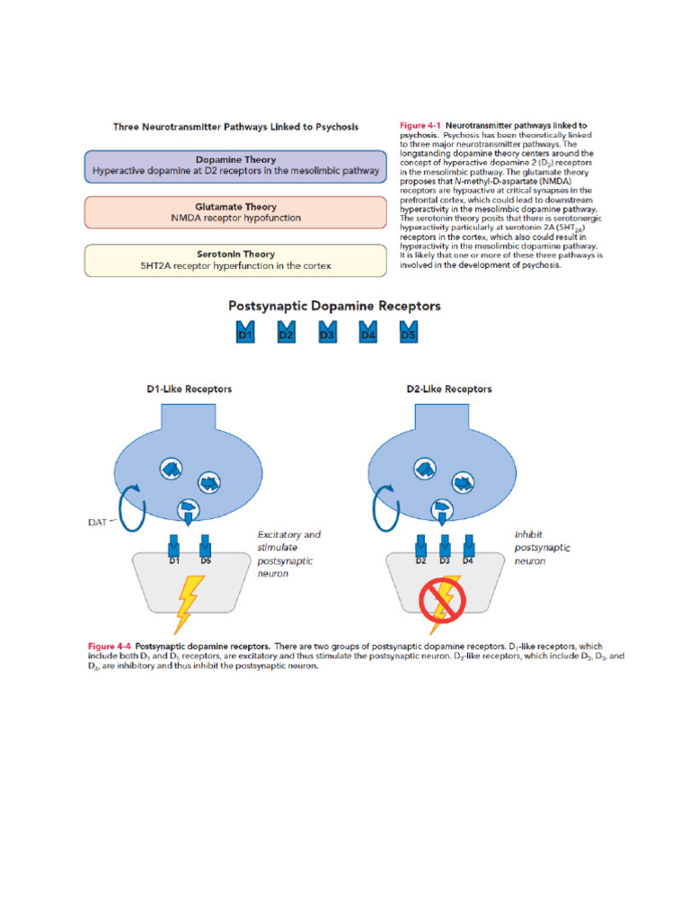 Classic Dopamine Pathways and Key Brain Regions | PDF