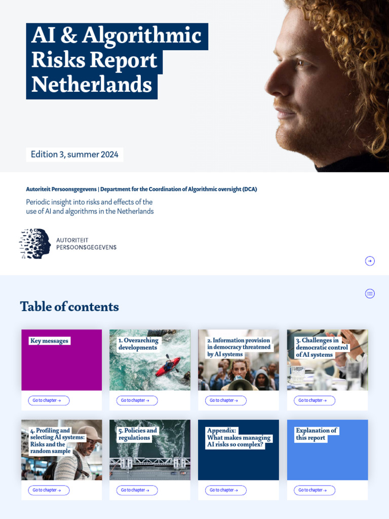 AI & Algorithmic Risks Report Netherlands | PDF