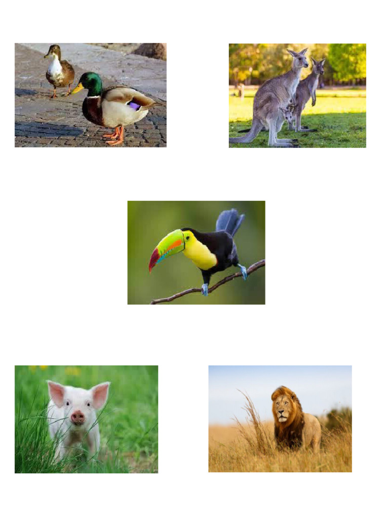 Animales Bipedos | PDF