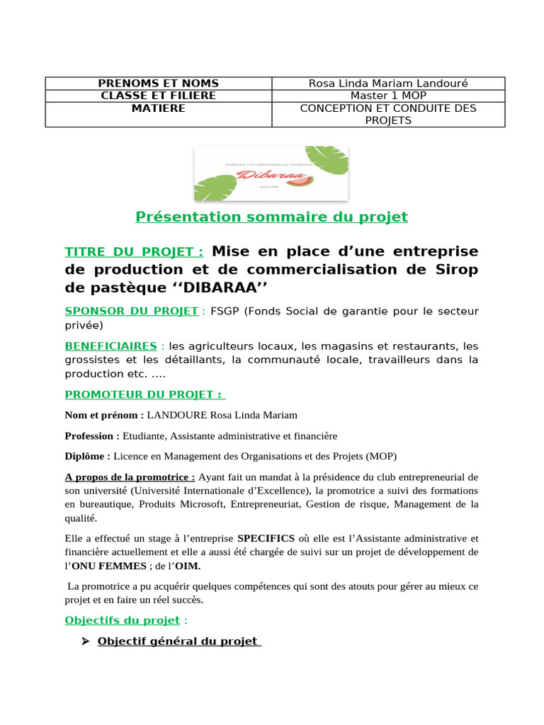 Projet Charte de Projet UIE - PMI | PDF
