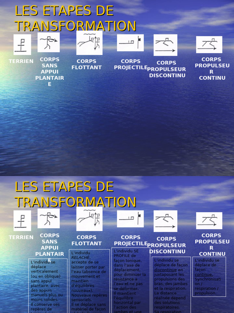 Les étapes de transformation en Natation | PDF