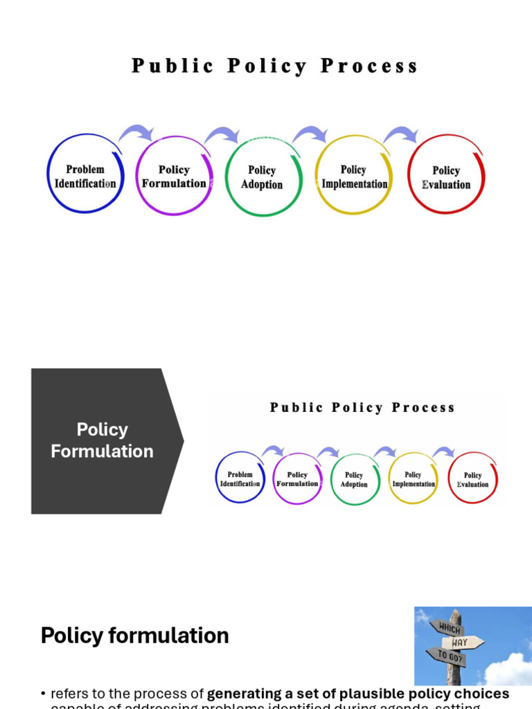 Policy Formulation | PDF