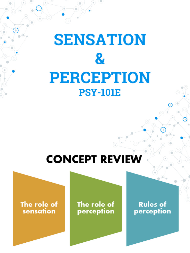 Sensation Perception | PDF