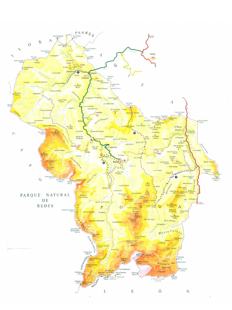 Mapa Ponga | PDF