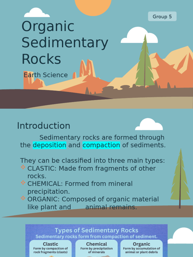Organic Sedimentary Rocks | PDF