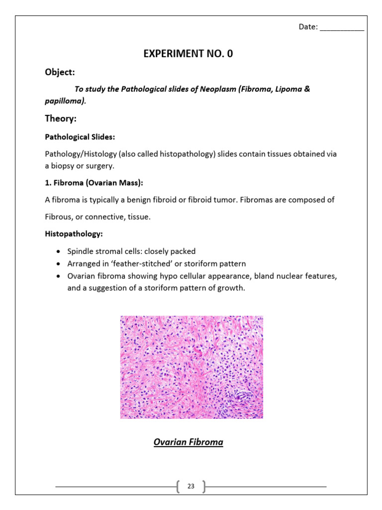 Patho Experiment 5 | PDF