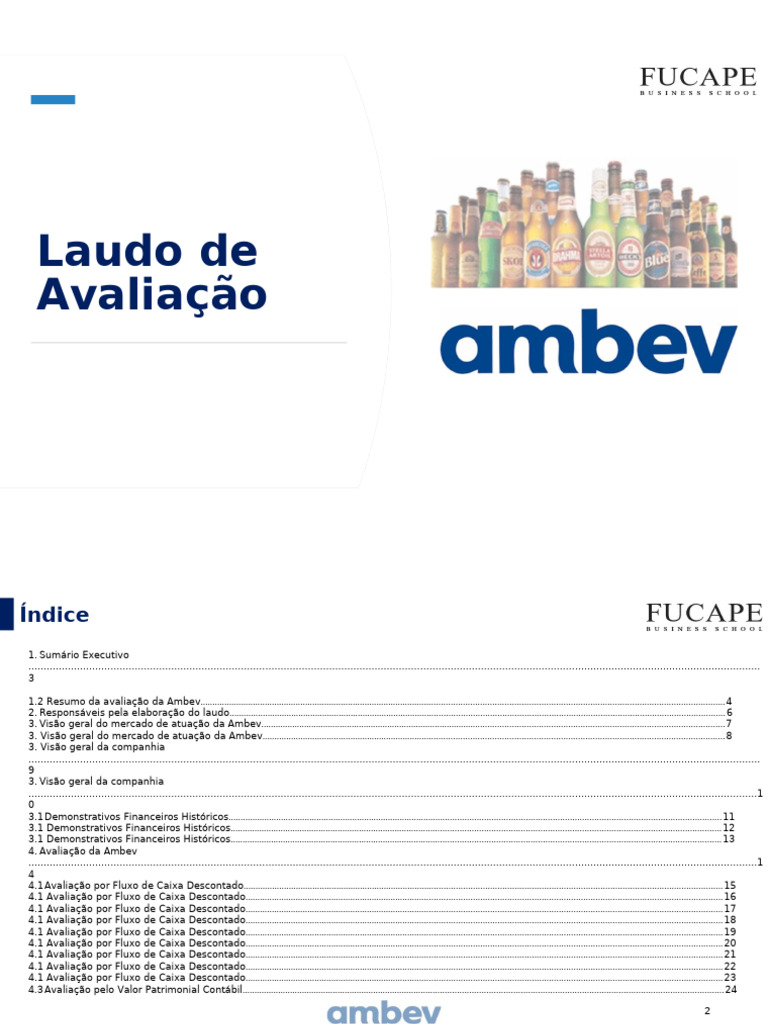 Ambev | PDF