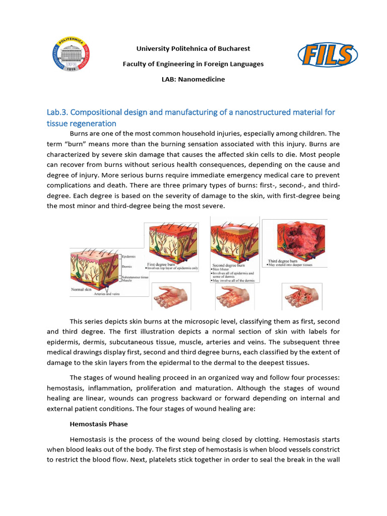 Lab 3. Hydrogels (col+cs) | PDF