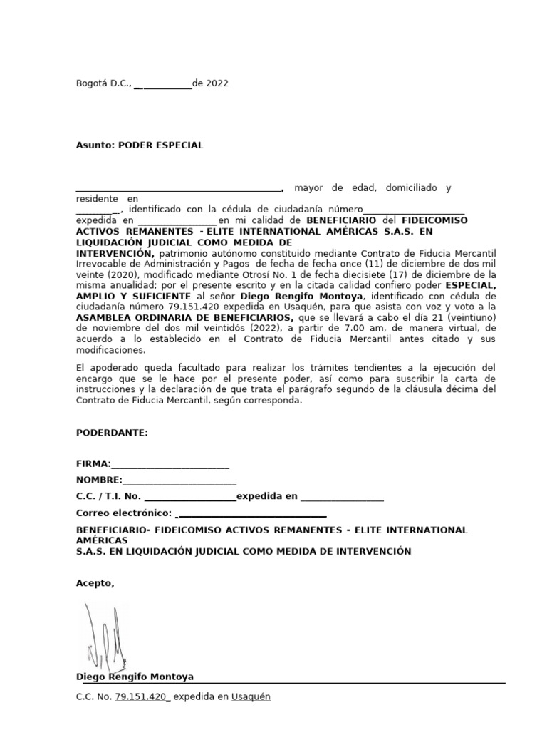 Poder Persona Natural.docx (1) | PDF