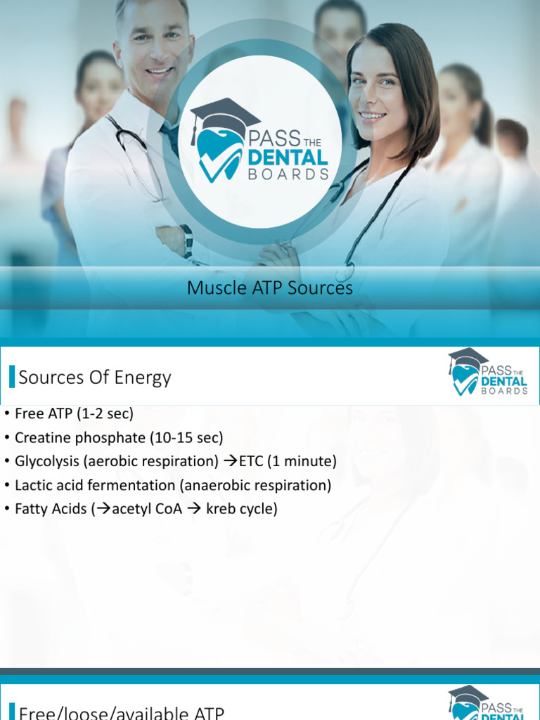 6 - Muscle ATP Energy Sources | PDF