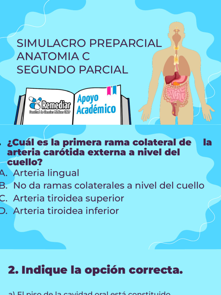Simulacro Anato C Segundo Parcial | PDF