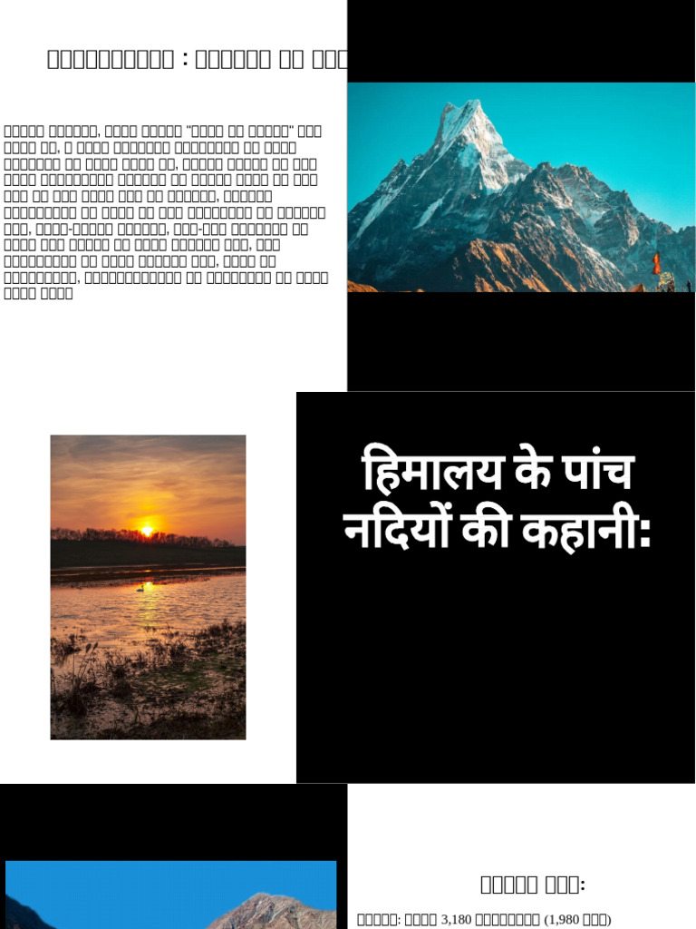 Hindi Assignment | PDF