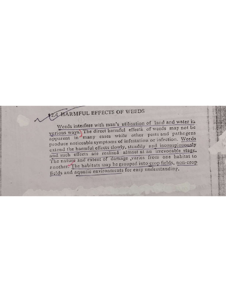 Weed-2 | PDF