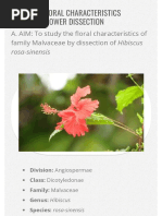Hibiscus Flower Dissection Guide | PDF | Flowers | Branches Of Botany