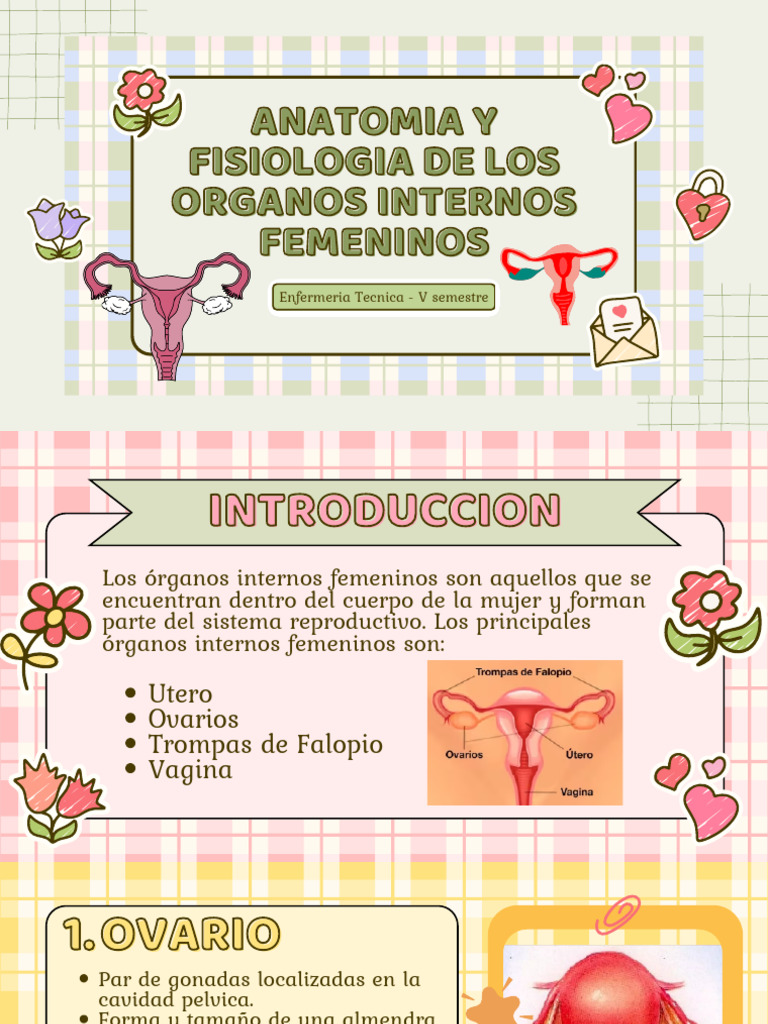 Anatomia y Fisiologia de Los Organos Internos Femeninos | PDF