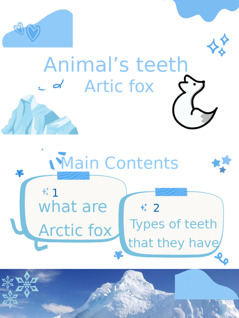 Artic Foxes Teeth | PDF