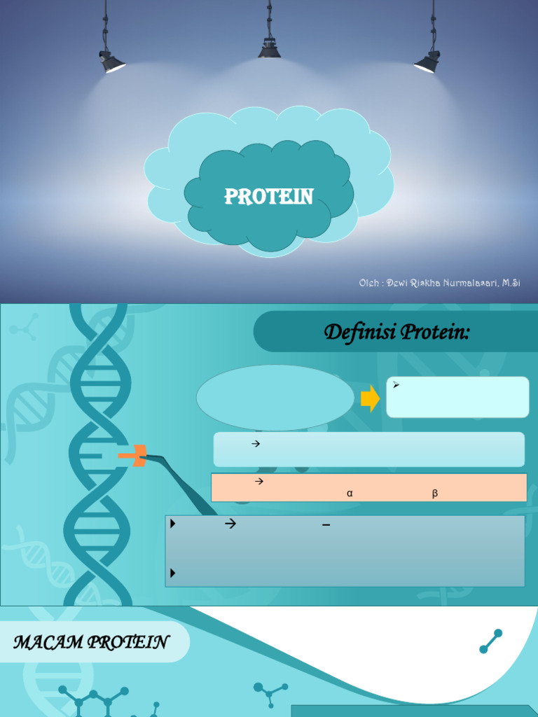 PROTEIN | PDF