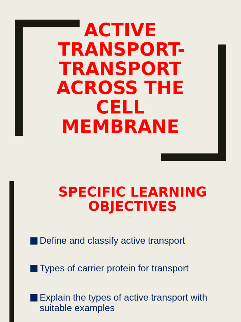 Active Transport | PDF