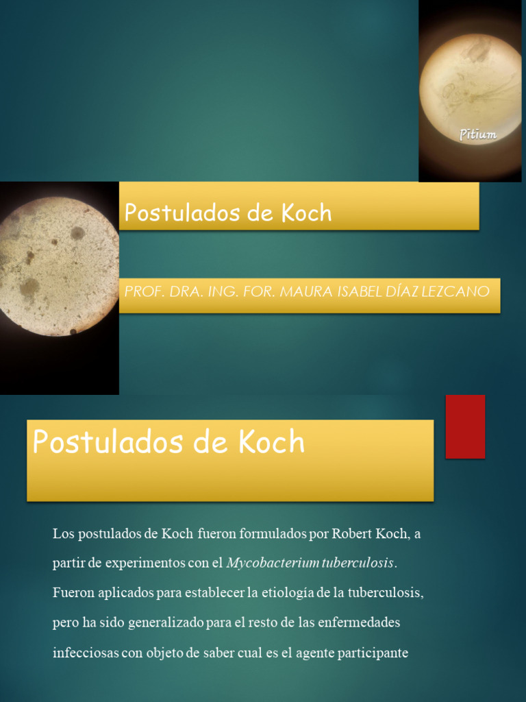 Postulados de Koch | PDF