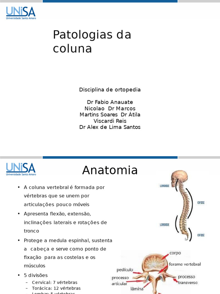 Patologias Da Coluna | PDF