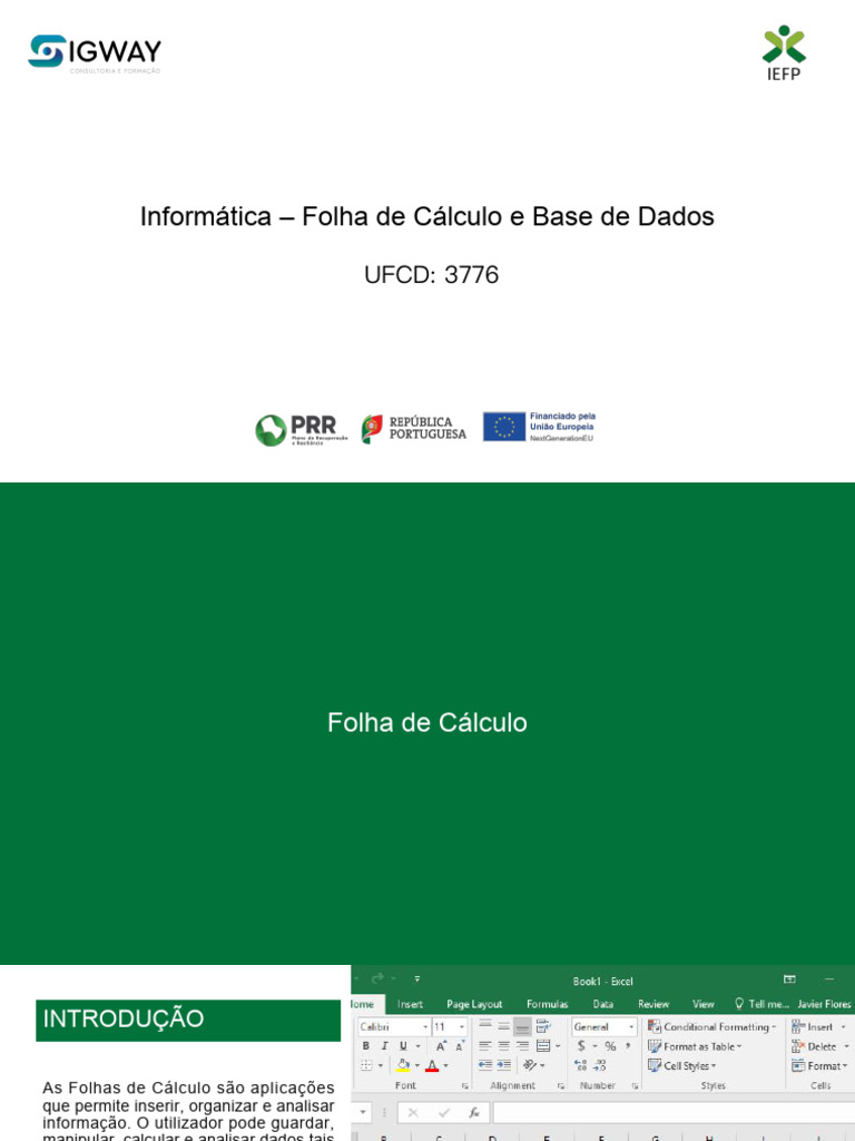 Informática - Folha de Cálculo e Base de Dados | PDF | Microsoft Office ...