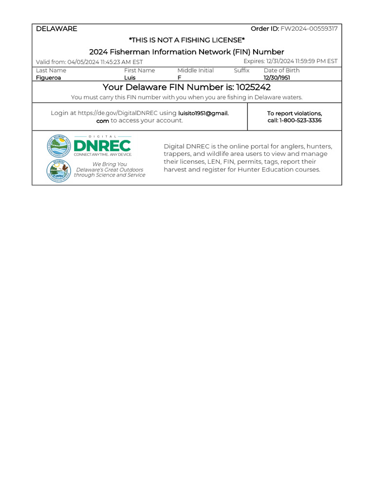 Luis F Figueroa FIN Registration | PDF