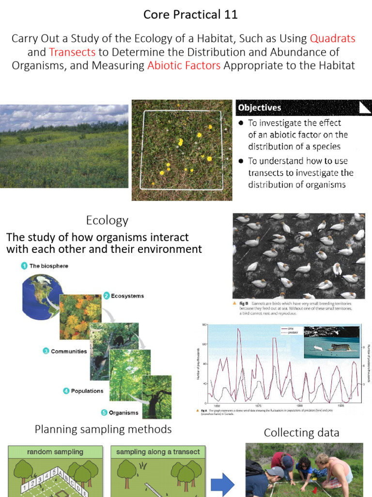 CP11 Ecological Sampling | PDF