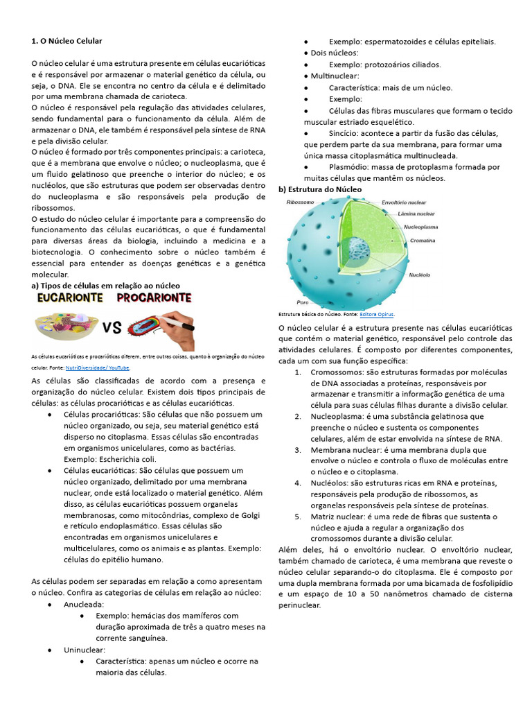 Núcleo | PDF
