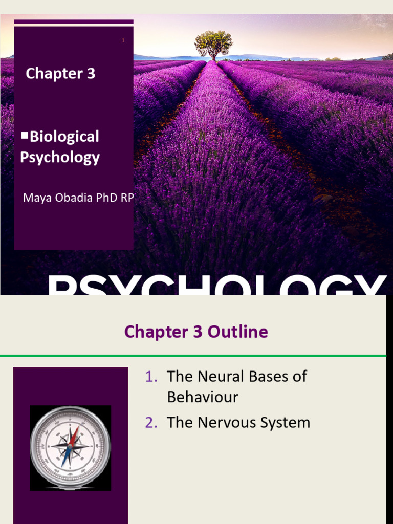 PSYC 1110 Module 2 - Biological Psychology Student | PDF