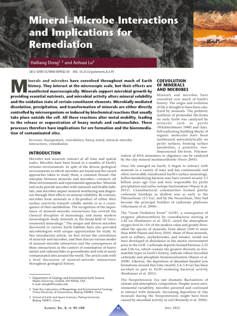 Mineral Microbe Interaction and Implementation For Remediation | PDF ...