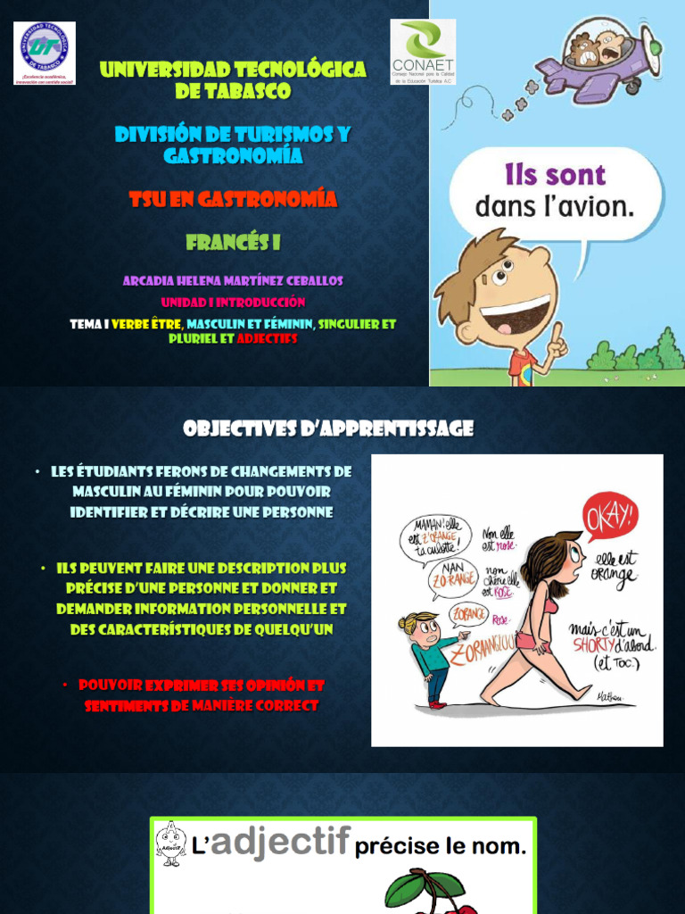 Verbe Être Et Les Adjectifs | PDF