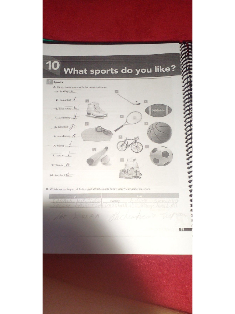 Ana Luiza Homework | PDF