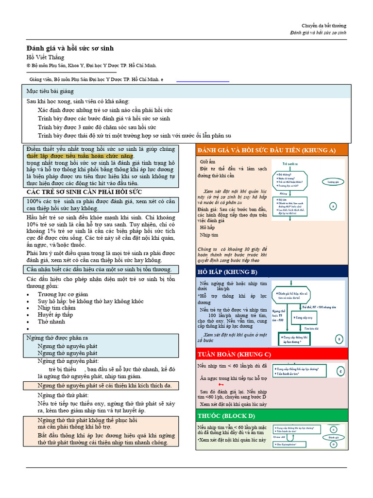 Danh - Gia - Va - Hoi - Suc - So - Sinh | PDF