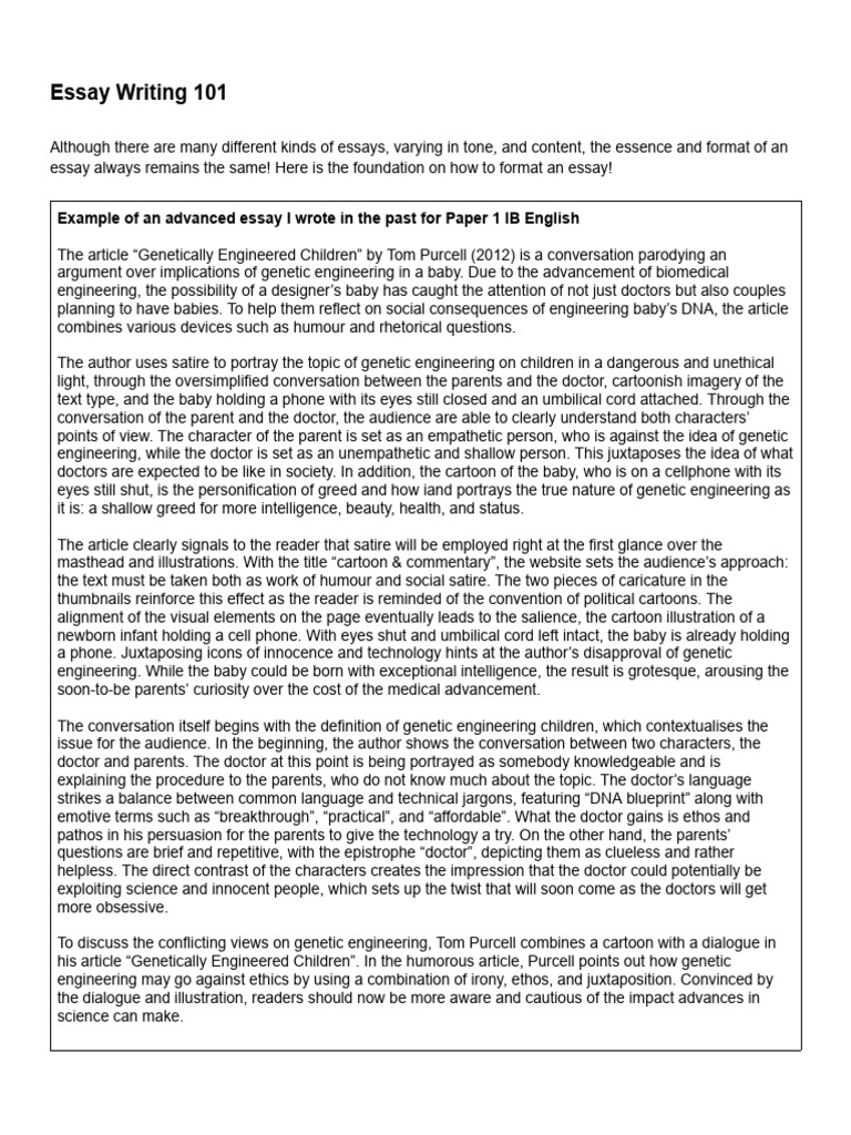 Essay Writing 101 | PDF