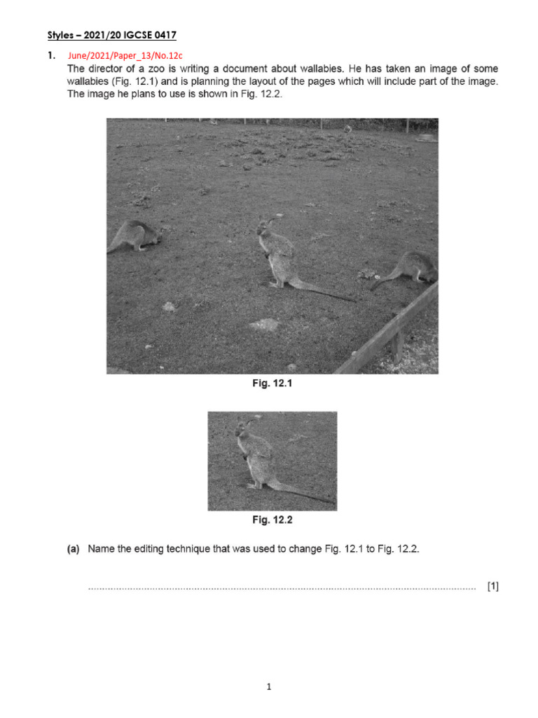 2021 - 20 Styles IGCSE 0417 | PDF