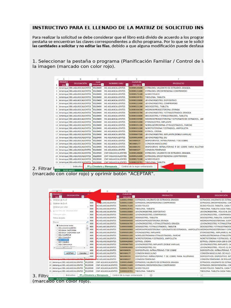 Instructivo Llenado Matriz Insumos | PDF | Reproducción humana