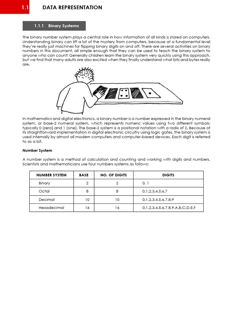 1.1.1_Binary_Systems | PDF