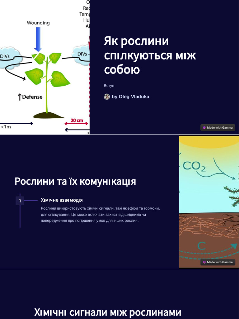 Yak Roslini Spilkuyutsya Mizh Soboyu | PDF