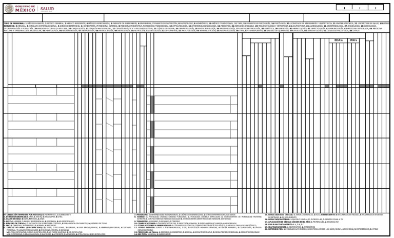 Sinba-sis-01-p 2021 Hoja Diaria de Consulta Externa | PDF