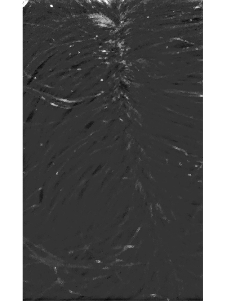 Image To PDF 20240922 18.20.03 | PDF