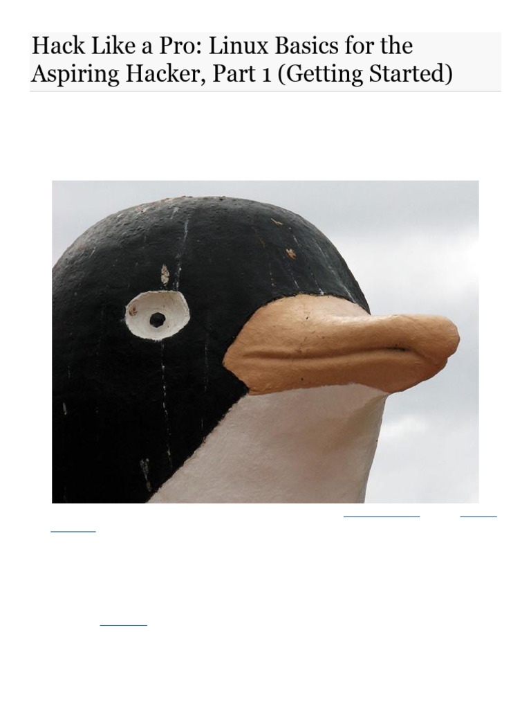 Linux Basics for the Aspiring Hacker | PDF