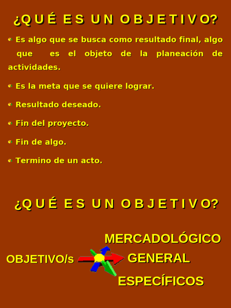 Qué es un objetivo | PDF